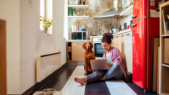 Enroll with LendingUSA: Grow Your Pet Business Today - LendingUSA